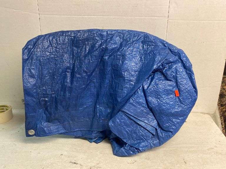 BLUE TARP - Isabell Auction