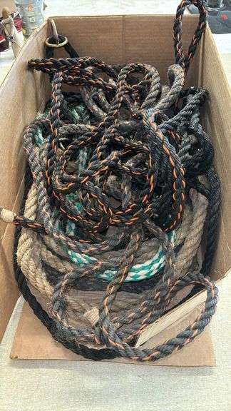 ASSORTED HALTERS & LEAD ROPES - Isabell Auction