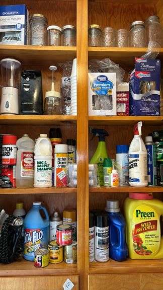 JARS, PLASTIC CUTLERY, ASSORTED CLEANING SUPPLIES, IRON, SPRAY PAINTS ...