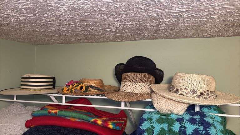 (MBC) 6-CT. LADIES HATS - Isabell Auction