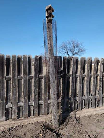 (OUT) 4X6 WOODEN POST WITH BIRDHOUSE & WIRE TRELLIS MATERIAL - Isabell ...