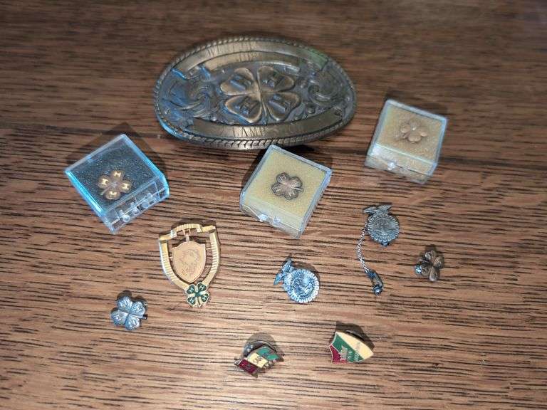 (HC) ASST'D 4-H, FFA, & AKSARBEN PINS/BELT BUCKLE - Isabell Auction