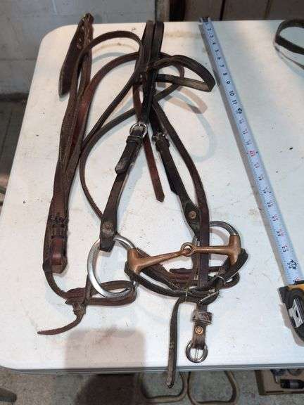(BARN) LEATHER BRIDLE WITH BIT & REINS - Isabell Auction
