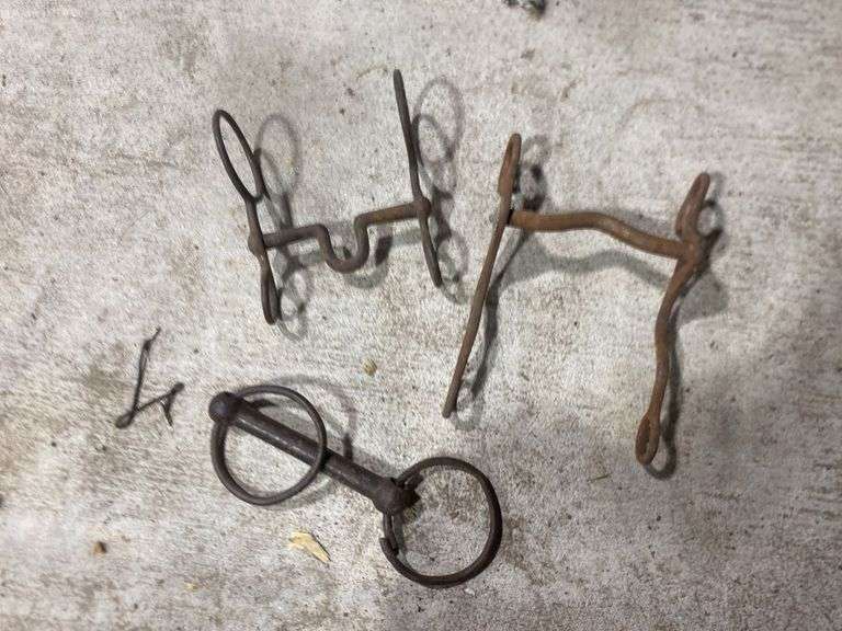 (WG) ASST'D BRIDLE BITS - Isabell Auction