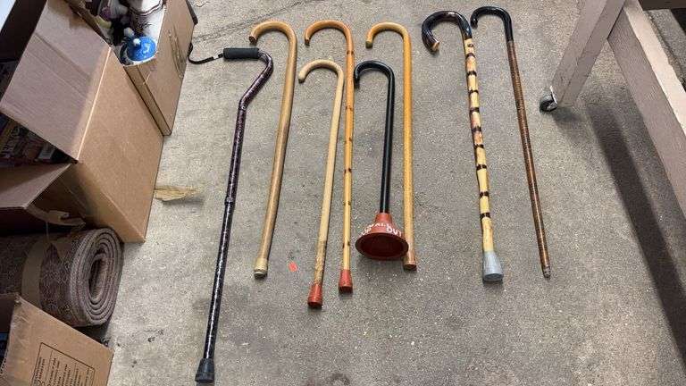 ASSORTED CANES - Isabell Auction