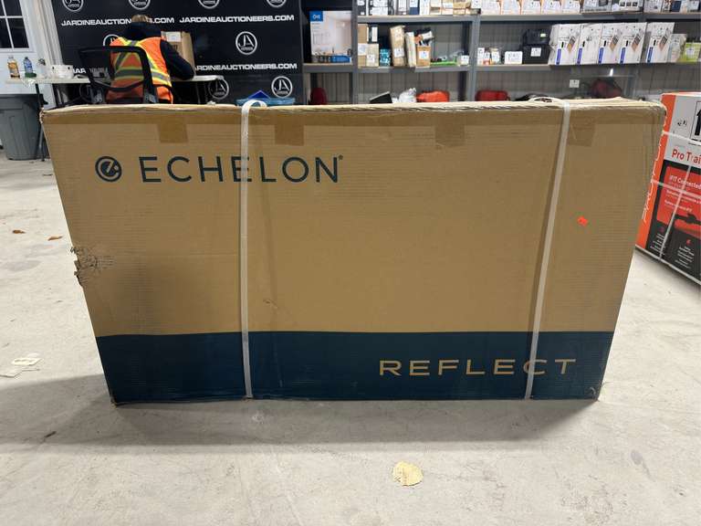 Echelon Reflect - Jardine Auctioneers