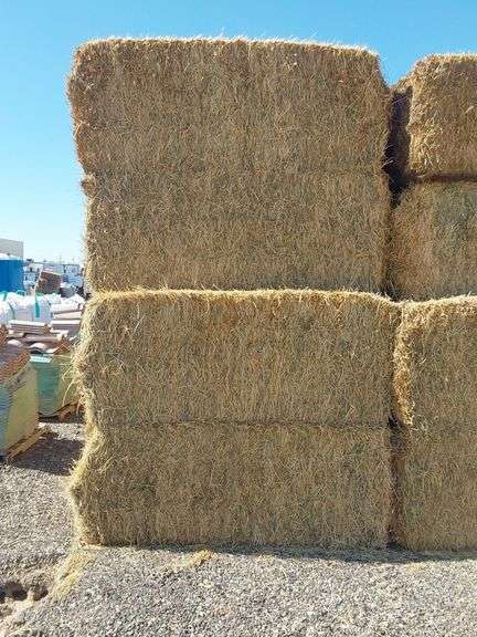 Qty Of (5) Bales Alfalfa Hay - J&J Auctioneers LLC