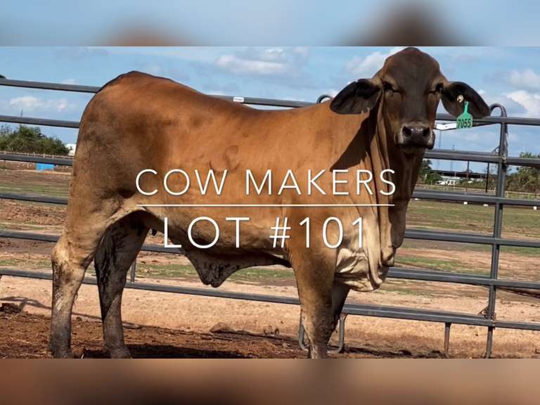 Cow Makers - J&J Cattle Co