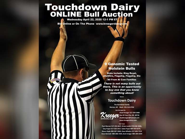 Touchdown Dairy Online Bull Auction - Kreeger & Associates