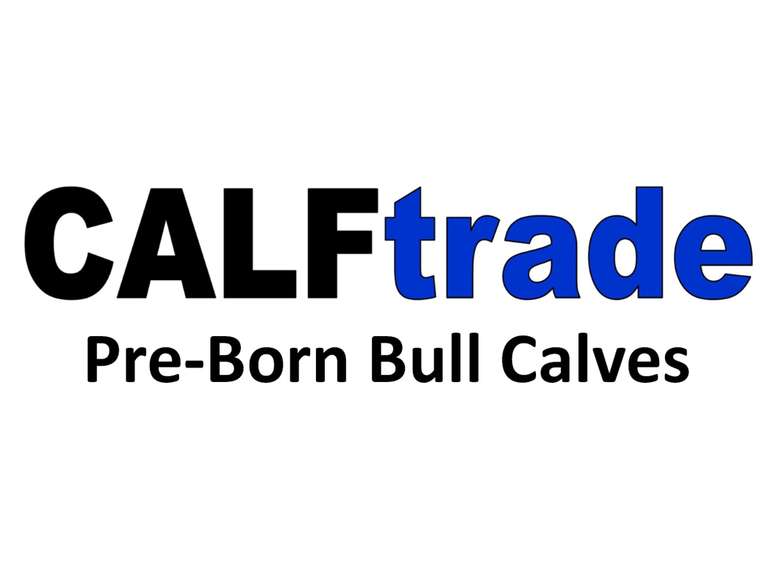 Pre-Born BULL Calf Agreement (Delivery 6-19-2020, 10-20 Head) Highland ...