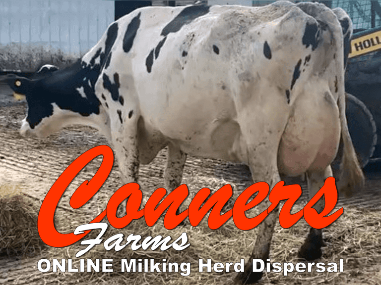 Conners Farms Dispersal - Kreeger & Associates