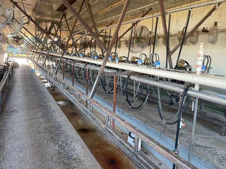 Parlor Package | 40 Swing | 40 Boumatic Pulsators, Units, & Controls ...