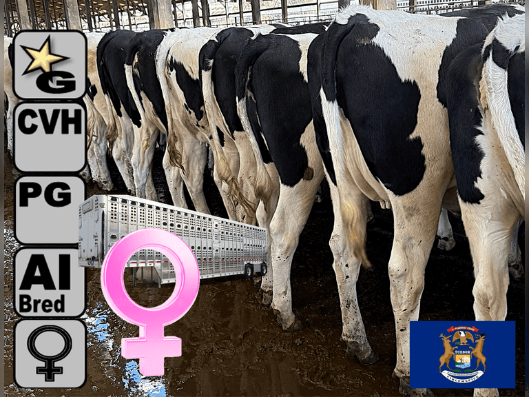 dairySTOCKexchange 193-The Monday Night Marketplace - Kreeger & Associates
