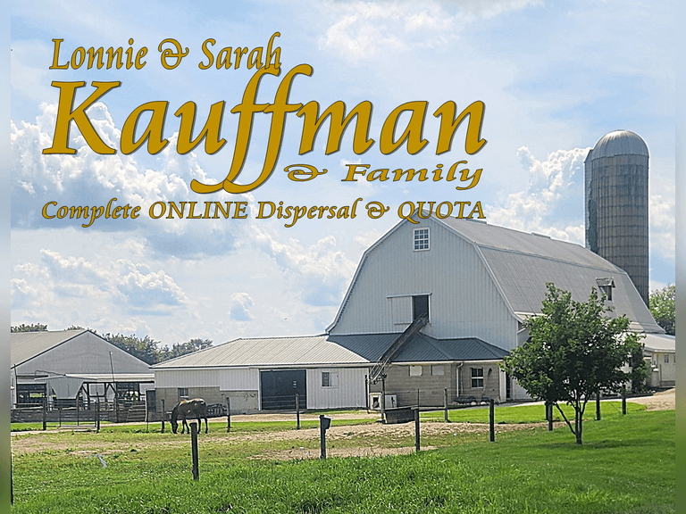 Kauffman Online Dispersal - Kreeger & Associates