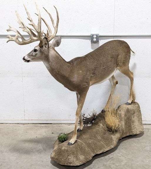 Full Body Abnormal 26-Point Whitetail Deer Mount - Kraft Auction ...