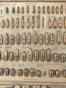 Hornady Ammunition Various Caliber Display - Kraft Auction Service, LLC