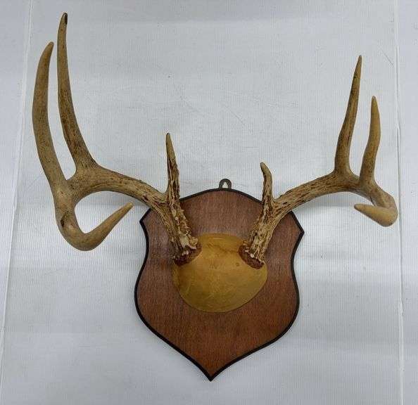 (UU) 9 Point Mounted Set Of Deer Antlers - Kraft Auction Service, LLC