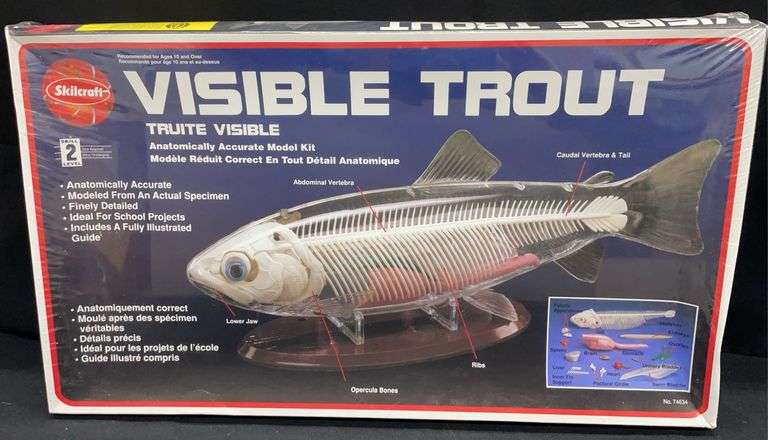 (AN) Skilcraft Visible Trout Anatomically Accurate Model Kit - Kraft ...