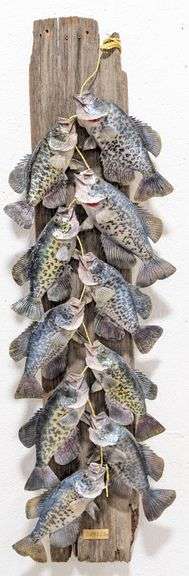 10 Black Crappie Stringer on Barn Wood Taxidermy Mount - Kraft Auction ...