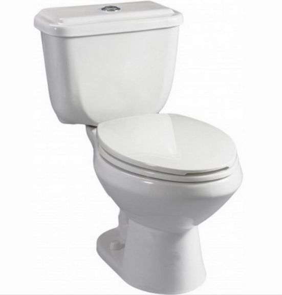 Briggs Conserver Dual Flush Elongated Toilet White - Kraft Auction ...