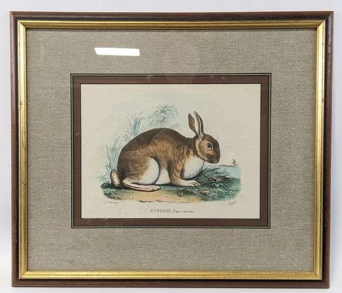 1860's "Rabbit" Hand-Colored Framed Lithograph - Kraft Auction Service, LLC