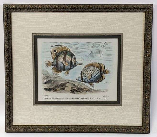 1860's "Fish" Hand-Colored Framed Lithograph - Kraft Auction Service, LLC