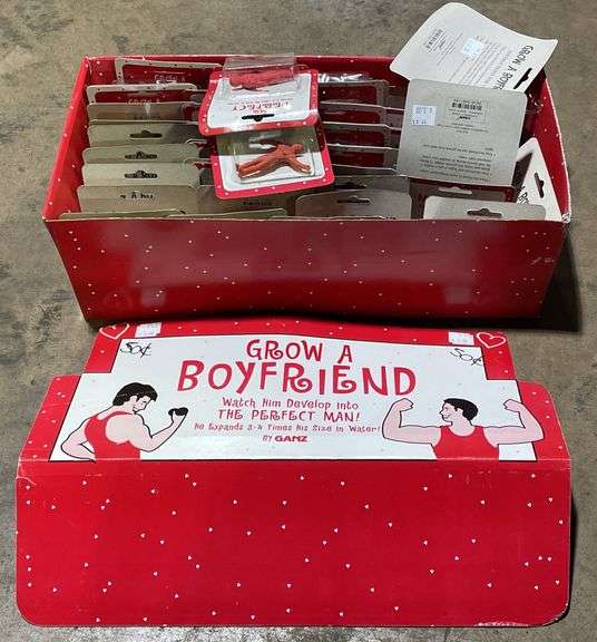 (OP) Ganz Grow a Boyfriend Figures - Kraft Auction Service, LLC