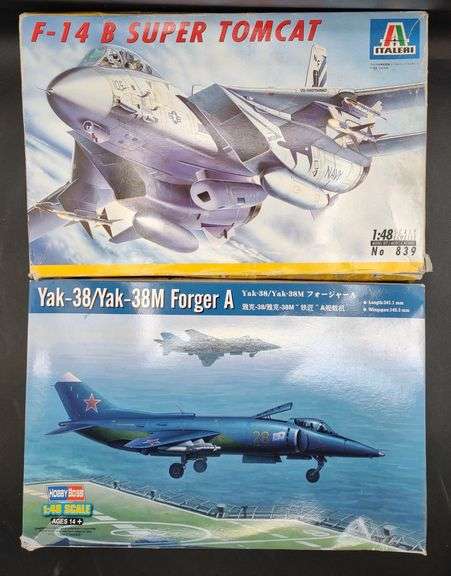 (O) Italeri F-14 B Super Tomcat & Hobby Boss Yak-38/Yak-38M Forger A Fighter Jets - Kraft ...