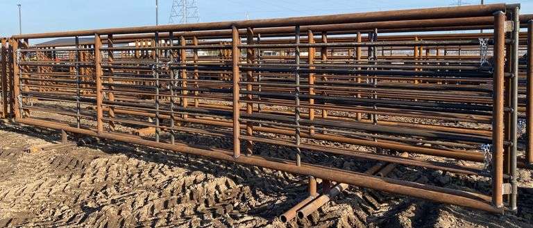 Steel Pipe Cattle Panels w/ 2 Gates - Kraft Auction Service, LLC