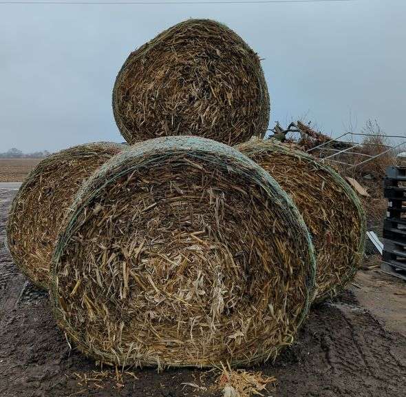 (AJ) 6 Round Corn Stalk Bales - Kraft Auction Service, LLC