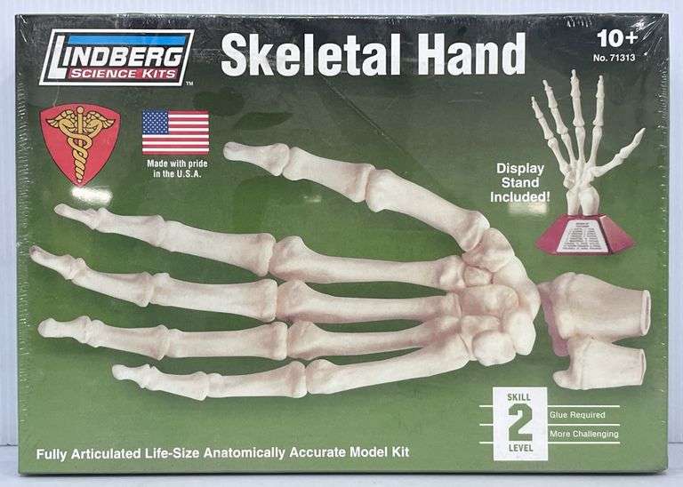 Lindberg Articulated Skeleton Hand Model Kit - Kraft Auction Service, LLC