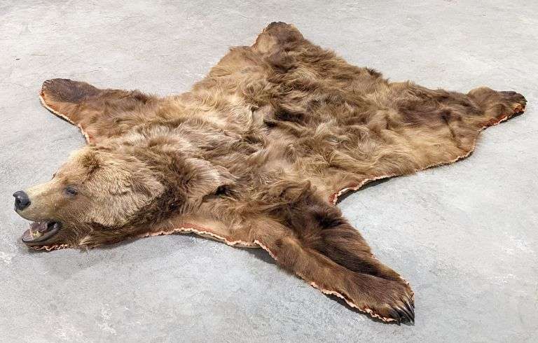 7-1/2ft Brown Bear Rug Taxidermy - Kraft Auction Service, LLC