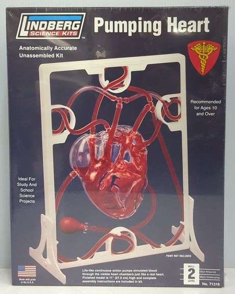 Lindberg Pumping Heart Model Kit - Kraft Auction Service, LLC
