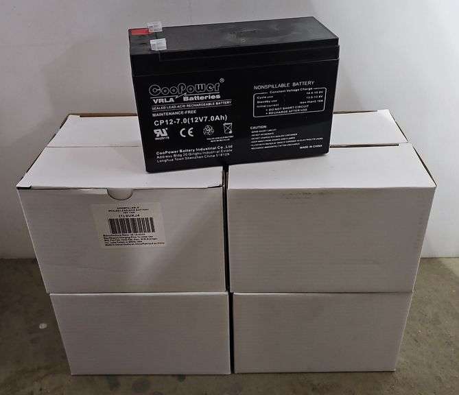 CooPower 12v Battery. - Kraft Auction Service, LLC