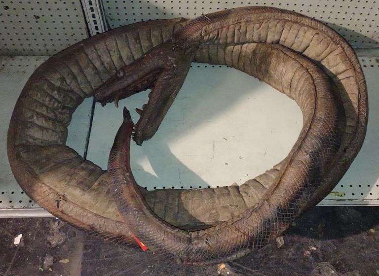 Rubber/Foam Snake Decor - Kraft Auction Service, LLC