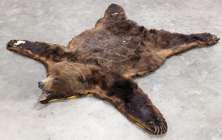 Taxidermy Grizzly Bear Rug with Real Claws & Affidavit - Kraft Auction ...