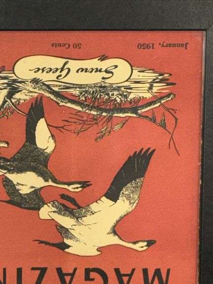 Framed Cover Of The "Nature Magazine Snow Geese" From January, 1950 ...