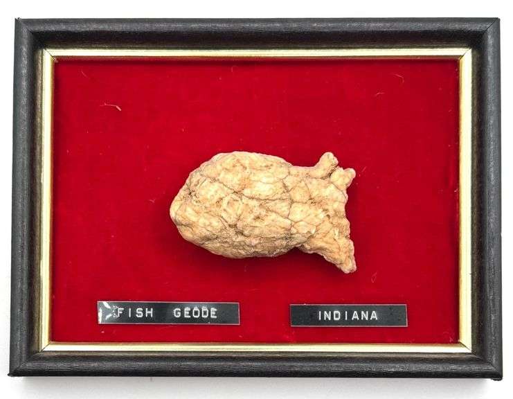 Framed Fish Geode From Indiana - Kraft Auction Service, LLC