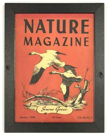 Framed Cover Of The "Nature Magazine Snow Geese" From January, 1950 ...