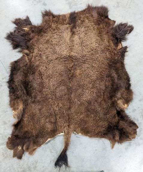 Tanned American Bison Taxidermy Hide Rug - Kraft Auction Service, LLC