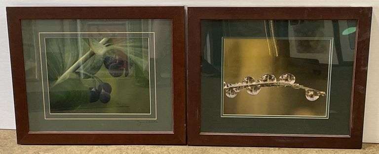 (A) 2 James Brielle Photographs 23” x 19” - Kraft Auction Service, LLC