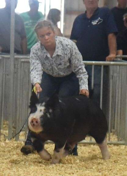 2nd Place Market Barrow - Makenzie Meinert - Kraft Auction Service, LLC