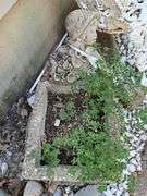 Concrete Cast Flower Pot. - Kraft Auction Service, LLC