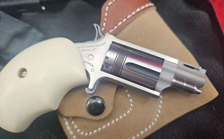 North American Arms WASP 22 Magnum Revolver - Kramer Auction LLC