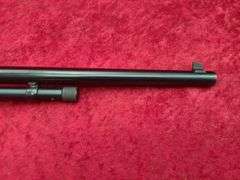 Rossi G22 Pump 22 cal Rifle - Kramer Auction LLC