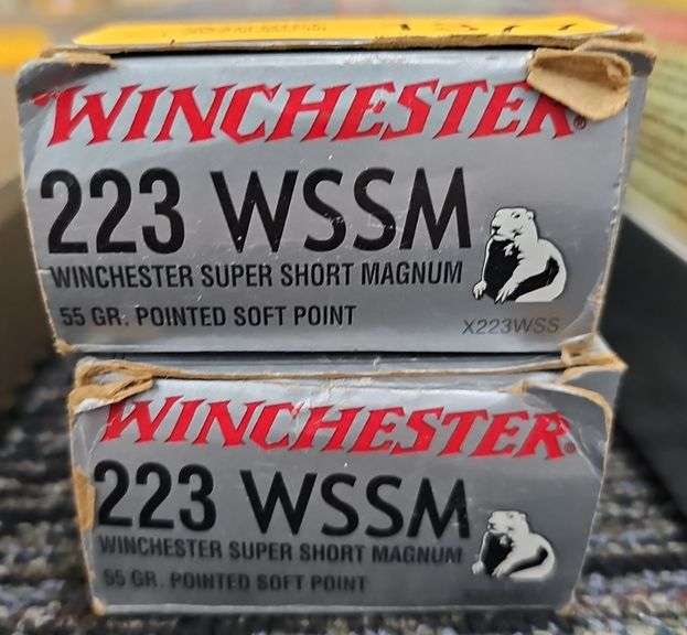 40 rds of Winchester 223 WSSM Ammo - Kramer Auction LLC