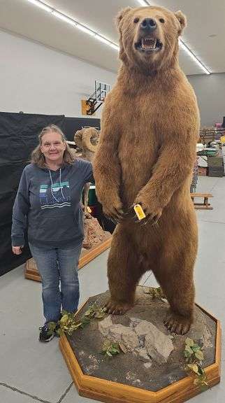 Large Standing Brown Bear Mount - Kramer Auction LLC