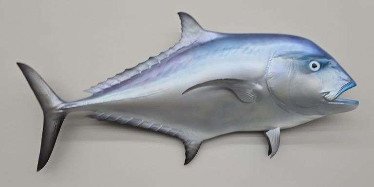 African Pompano, Trivelle Blue Silver Mount - Kramer Auction LLC