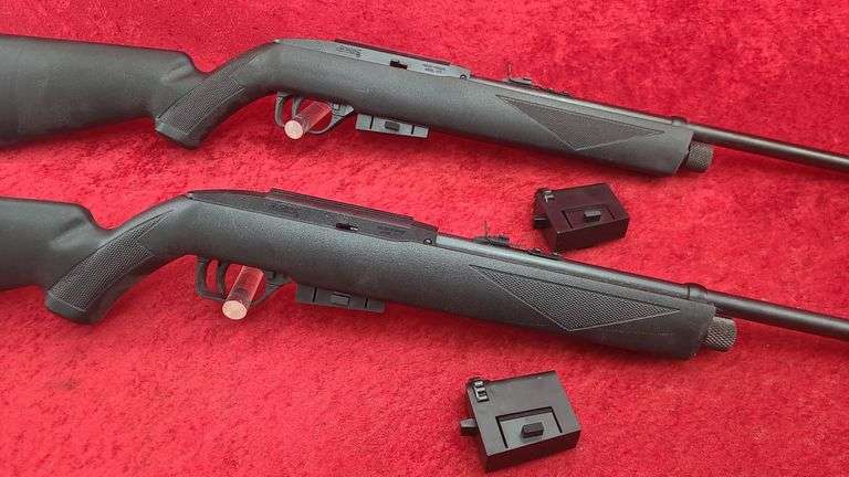 Pair of Crosman Air Rifles - Kramer Auction LLC