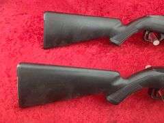 Pair of Crosman Air Rifles - Kramer Auction LLC